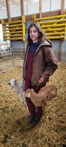 Easy Lift Rake – Ewe Lamb Right